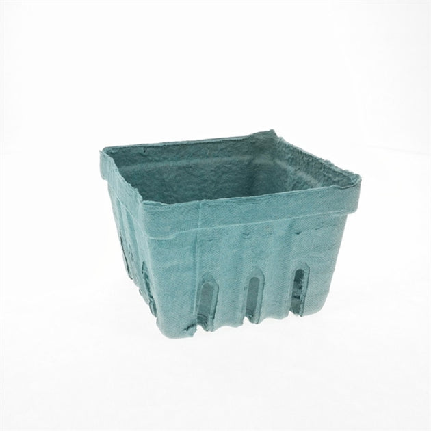 Berry Container – Alpha Eagle Group